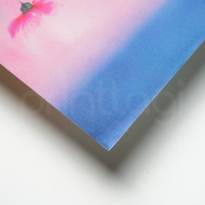 Folder Map - Cetak Folder Map Custom Murah Berkualitas Printlagi